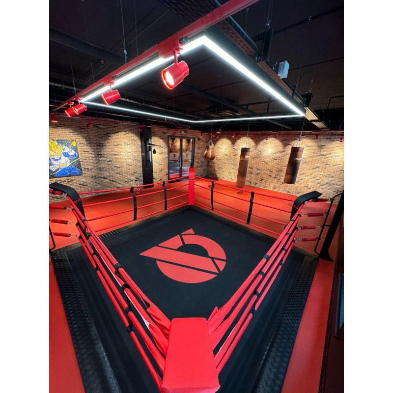 Ecofix floor-mounted boxing ring with aluminium border | SportCom