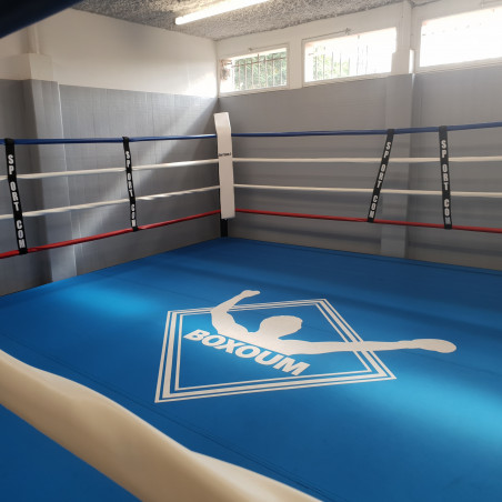Services - Personnalisation rings de boxe| SportCom